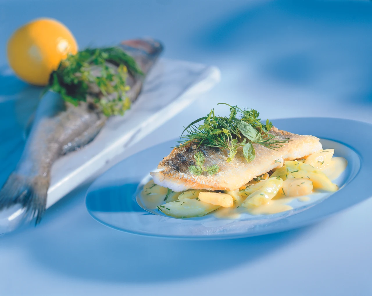 Gebratenes Welsfilet auf Paprikagemüse • Rezept