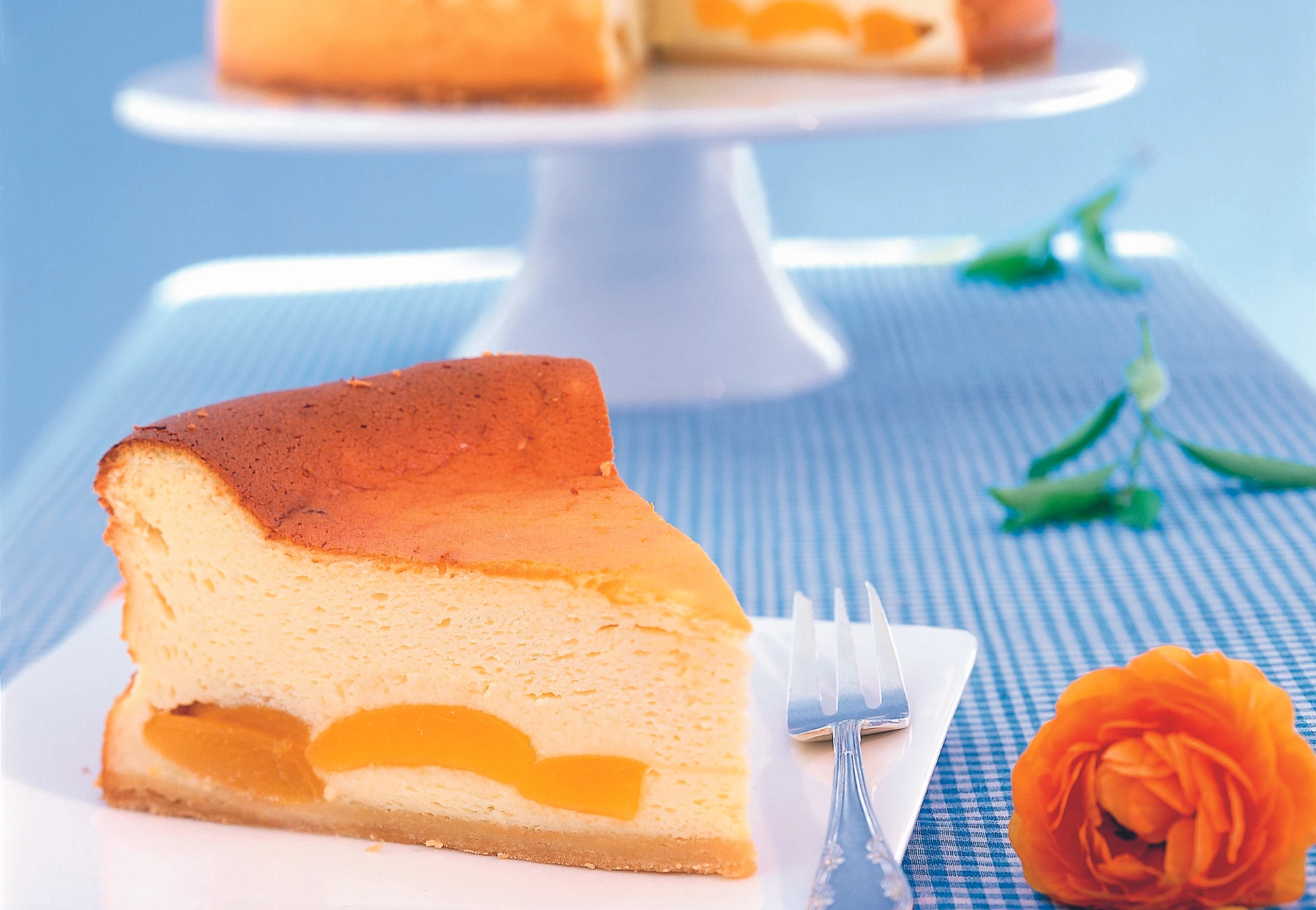 Topfentorte mit Früchten • Rezept