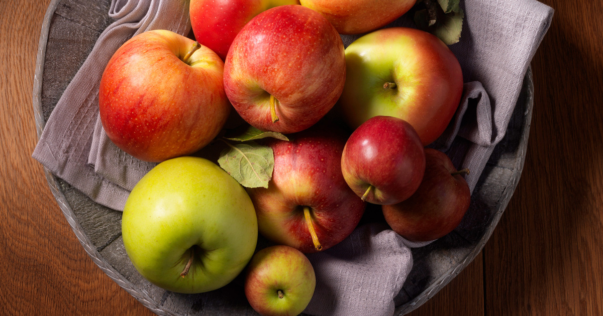 Äpfel: Willkommen im Apfel-Paradies